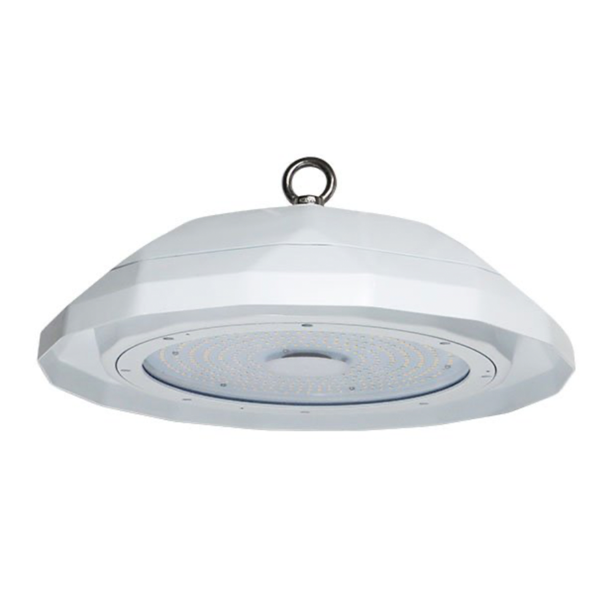Food Service Durabay F 200W LED High Bay - West Durable Lighting
